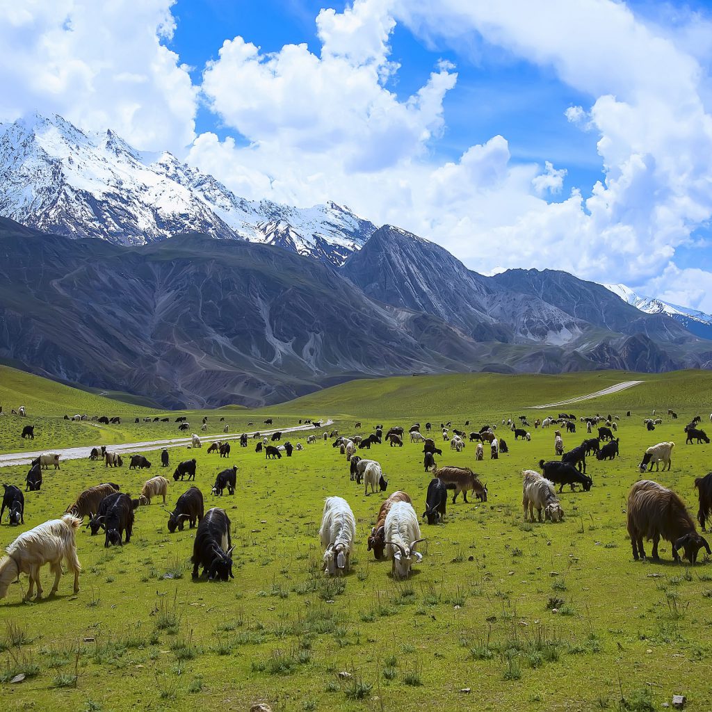 Chitral – Paramount Adventure Club